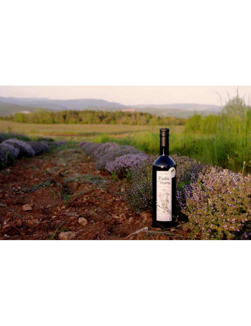 Pastis des Homs en vente sur Pastis-singuliers.fr